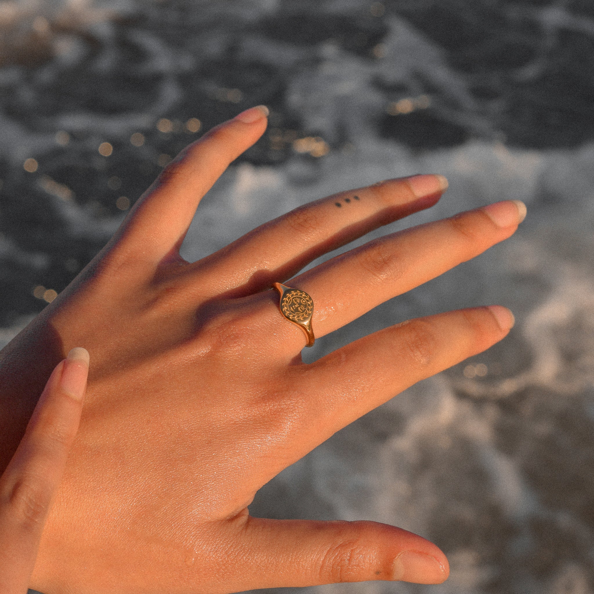 All Rings – Sahara Sun